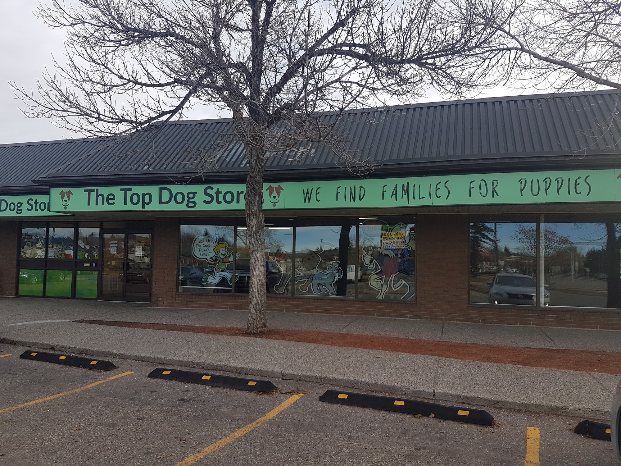 THE TOP DOG STORE - Calgary AB - Hours, Directions, Reviews - Loc8NearMe