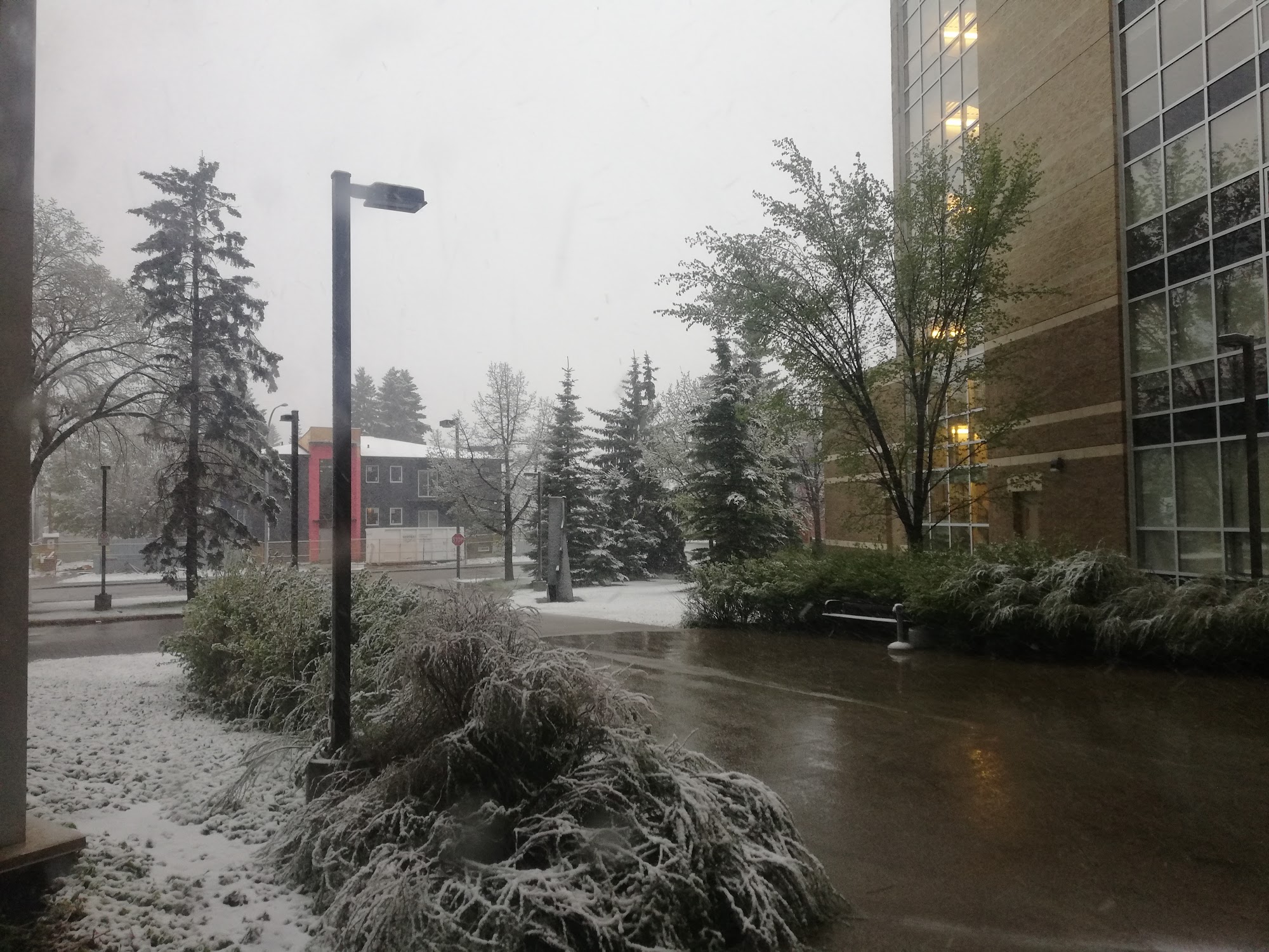 LISTER RESIDENCE - Edmonton AB - Hours, Directions, Reviews - Loc8NearMe