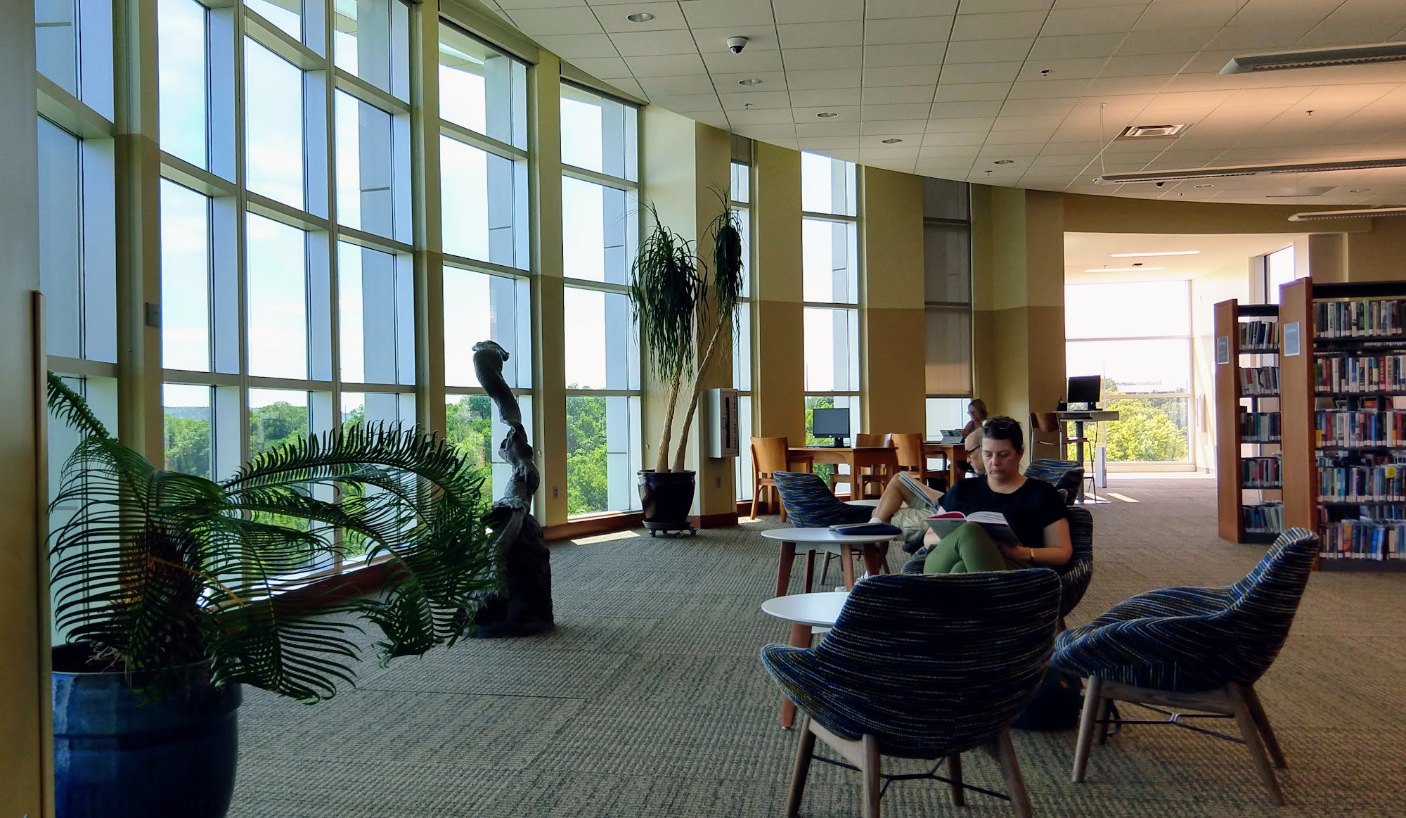 FAYETTEVILLE PUBLIC LIBRARY - Fayetteville AR - Hours, Directions ...