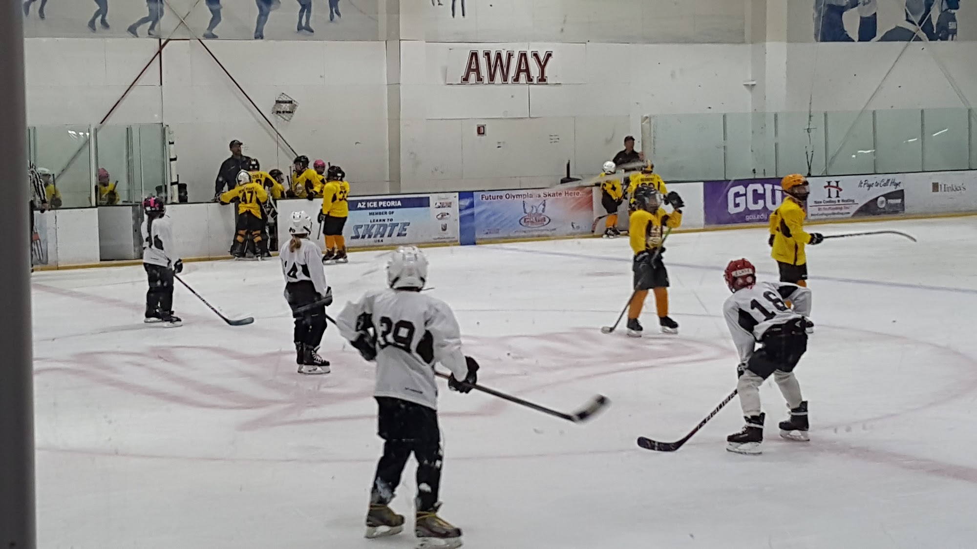 AZ ICE PEORIA - Peoria AZ - Hours, Directions, Reviews - Loc8NearMe