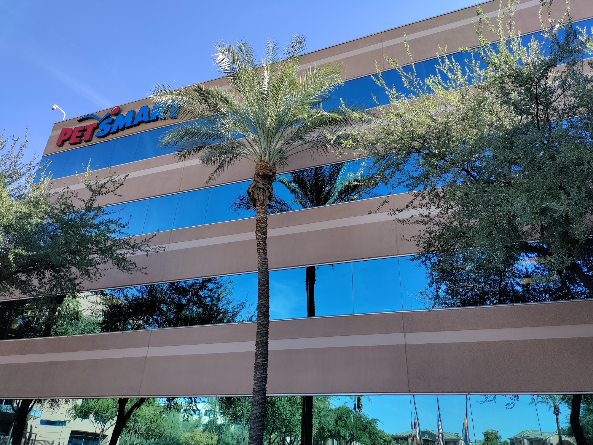 PETSMART CORPORATE OFFICE - Phoenix AZ - Hours, Directions, Reviews ...