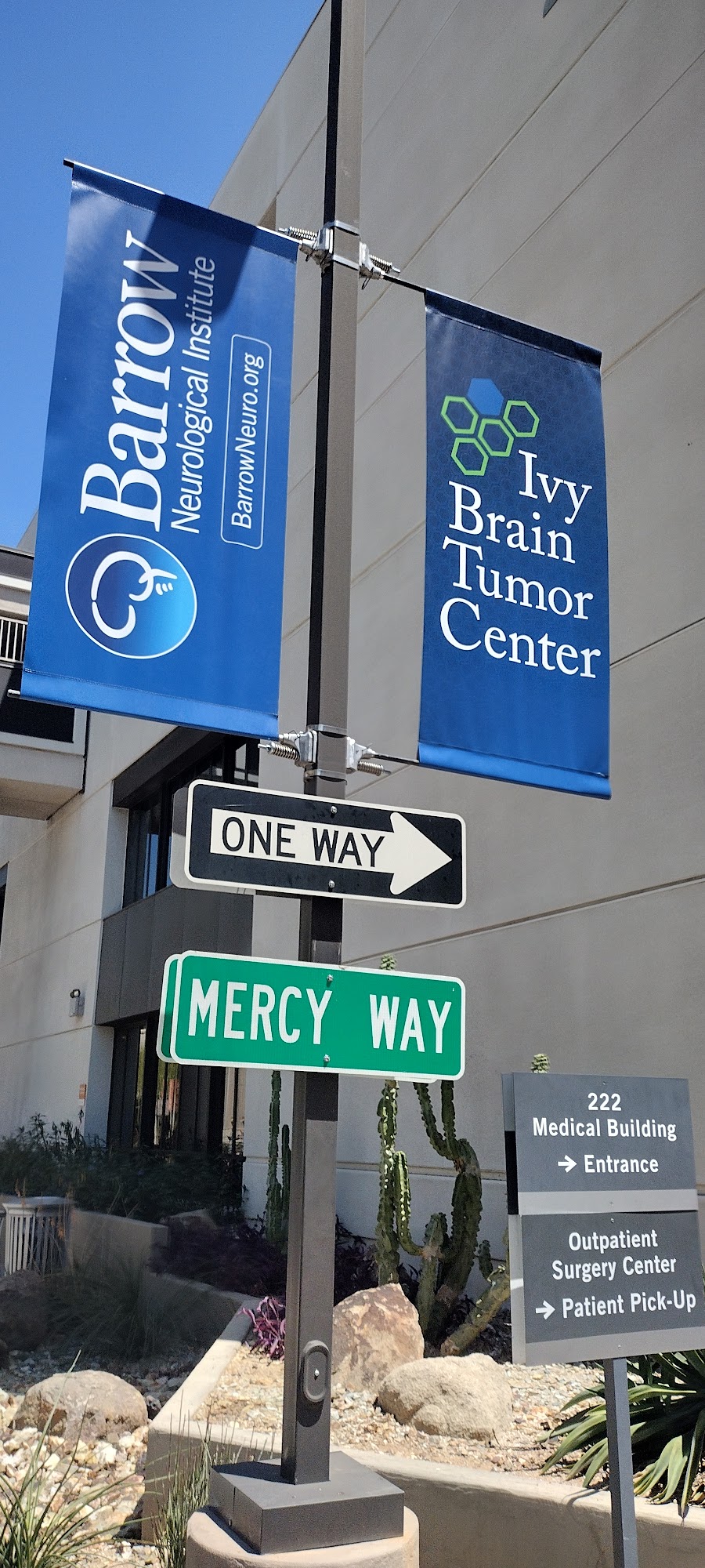 BARROW BRAIN AND SPINE - Phoenix AZ - Hours, Directions, Reviews ...