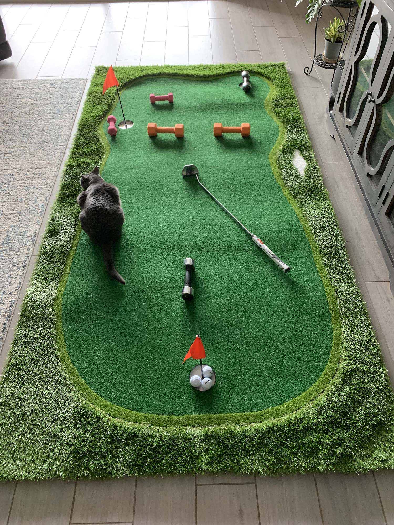 NELLIS AUCTION (PHOENIX LOCATION) - Phoenix AZ - Hours, Directions ...