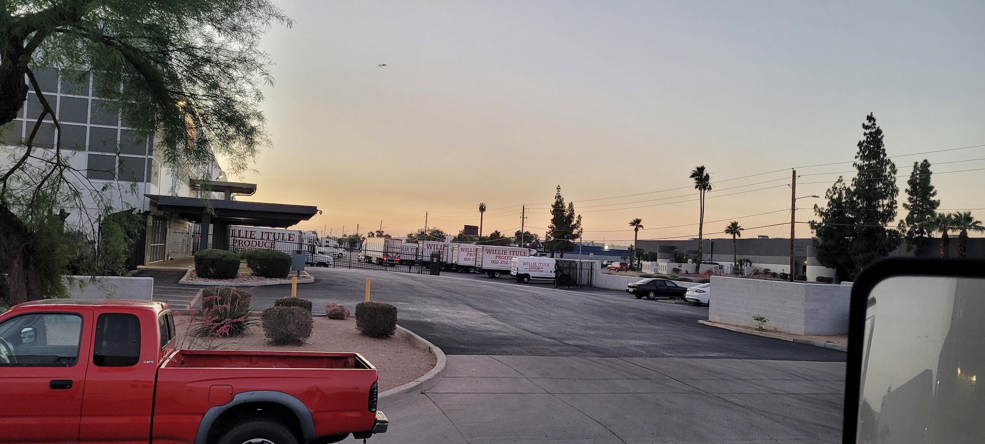 WILLIE ITULE PRODUCE, INC. - Phoenix AZ - Hours, Directions, Reviews ...