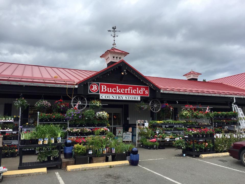 BUCKERFIELD'S PARKSVILLE - Parksville BC - Hours, Directions, Reviews ...