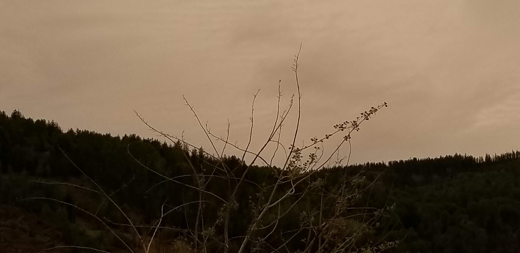 TRAIL AQUATIC & LEISURE CENTRE - Trail BC - Hours, Directions, Reviews ...