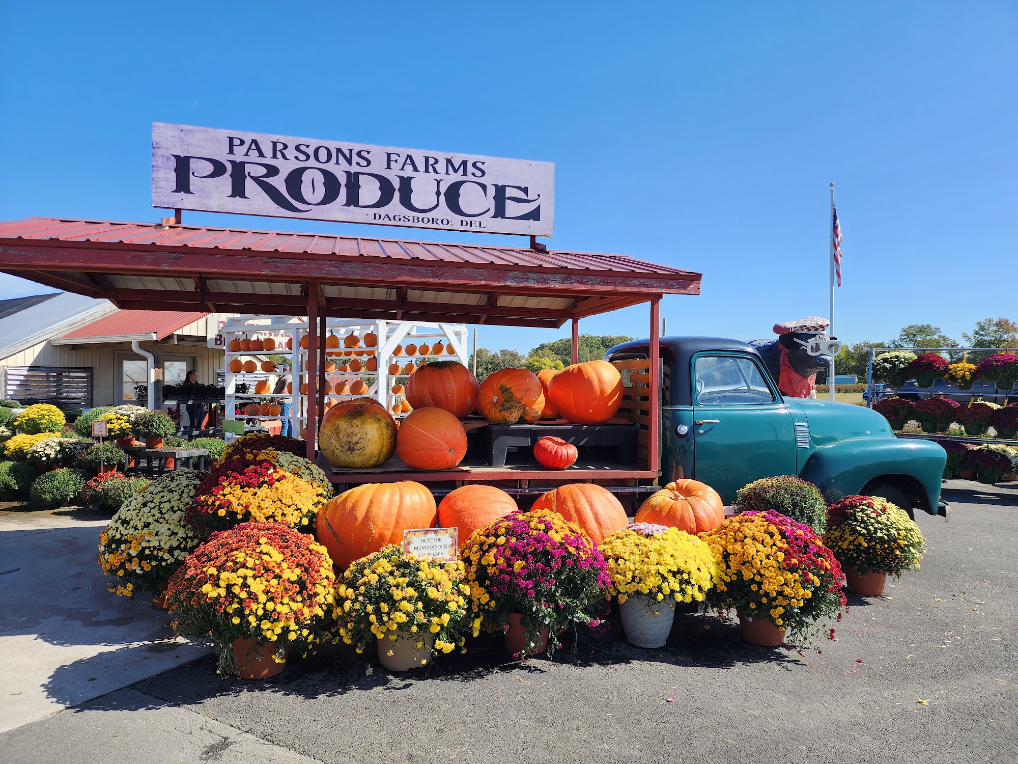 PARSONS FARMS PRODUCE - Dagsboro DE - Hours, Directions, Reviews ...