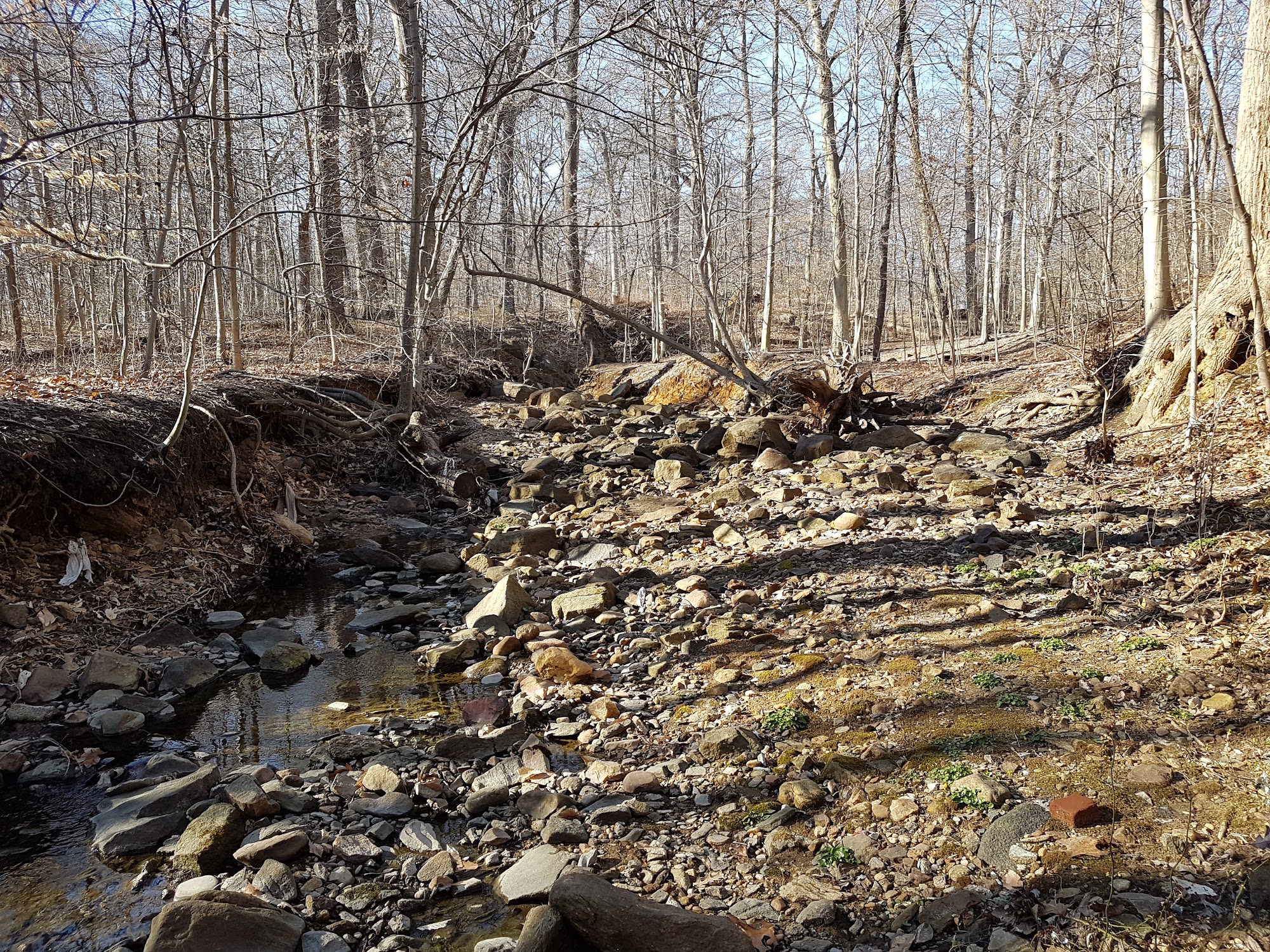 CANBY PARK - Wilmington DE - Hours, Directions, Reviews - Loc8NearMe