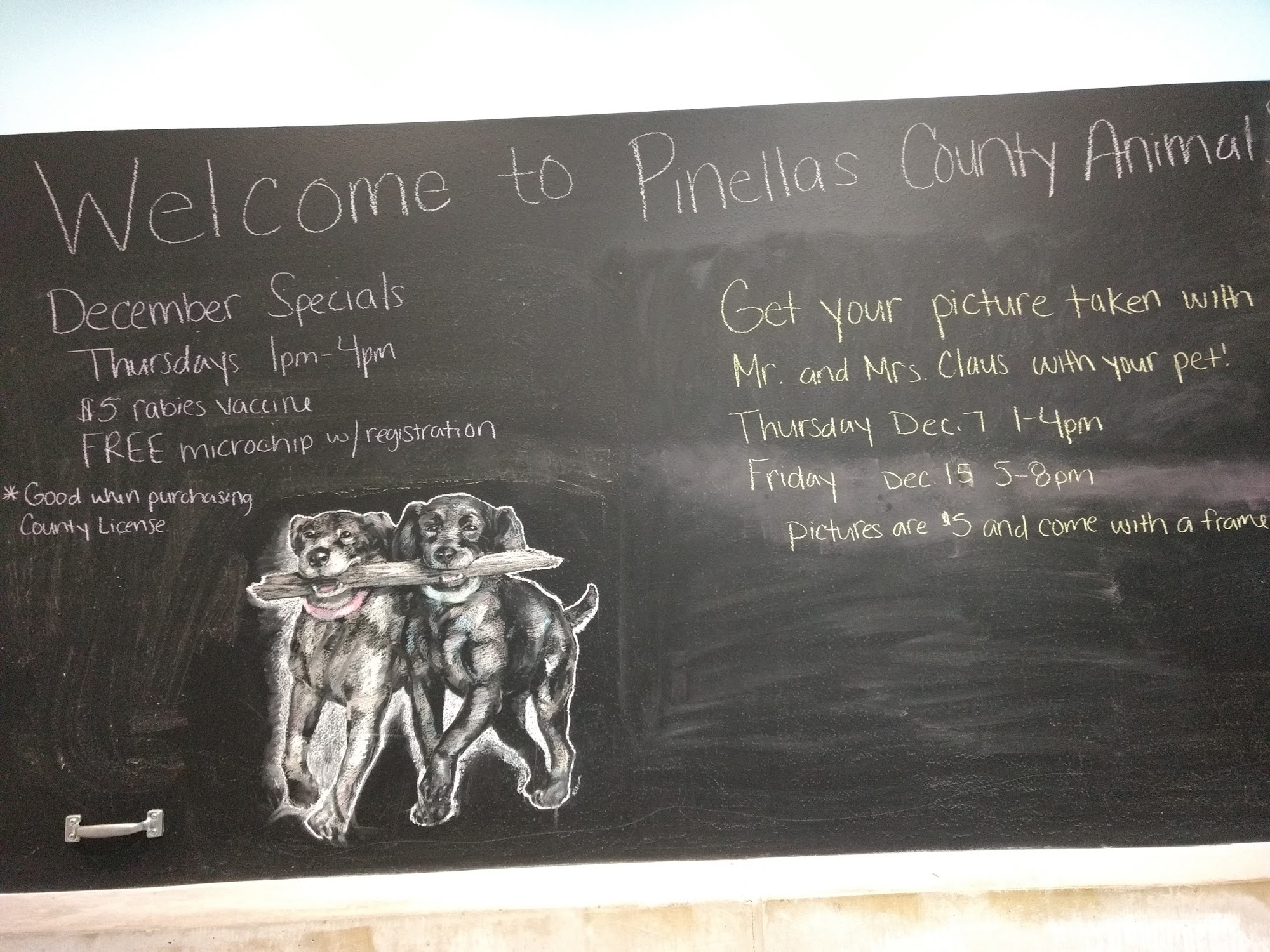 PINELLAS COUNTY ANIMAL SERVICES - Largo FL - Hours, Directions, Reviews ...