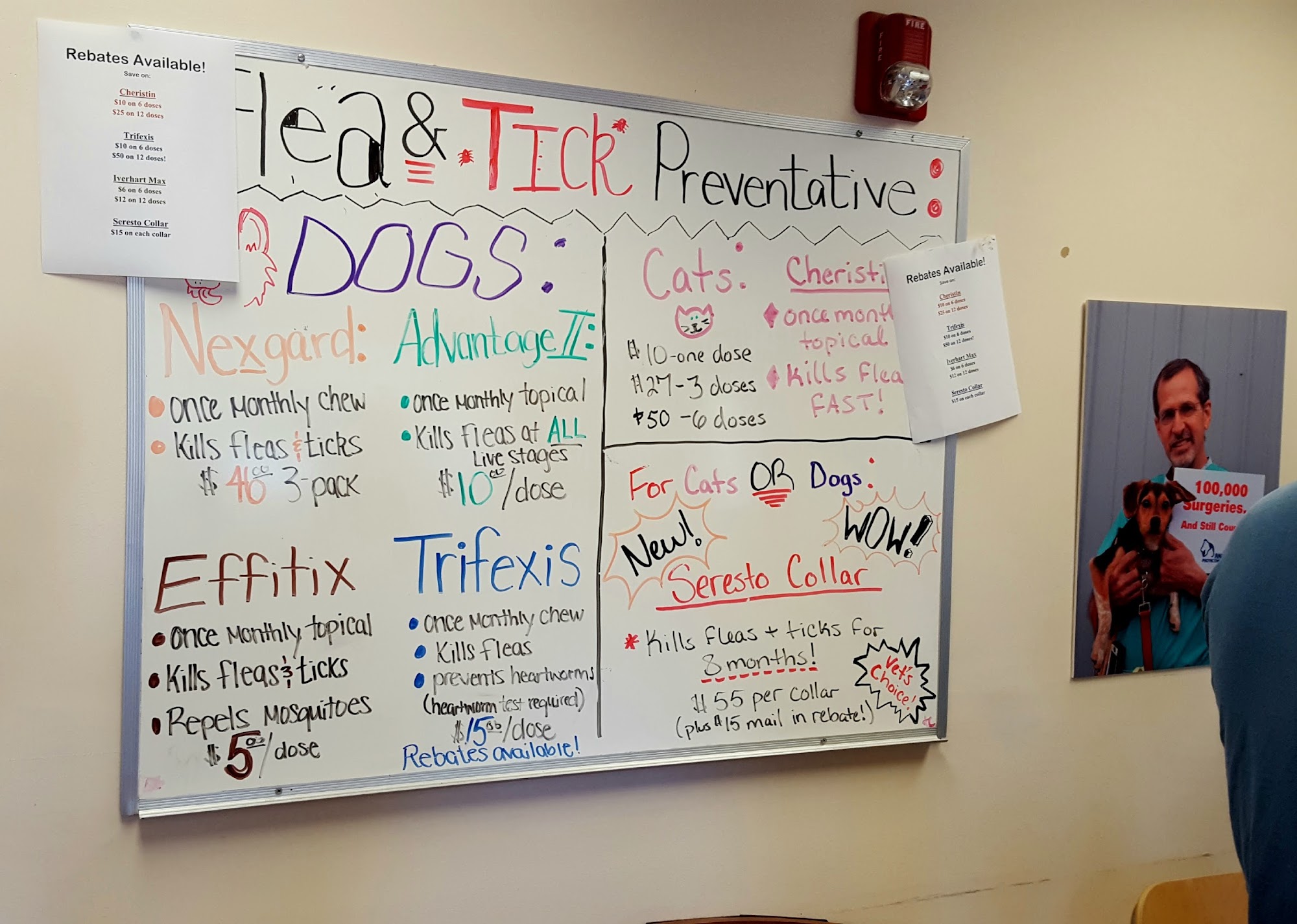 ANIMAL PROTECTIVE LEAGUE - Springfield IL - Hours, Directions, Reviews ...