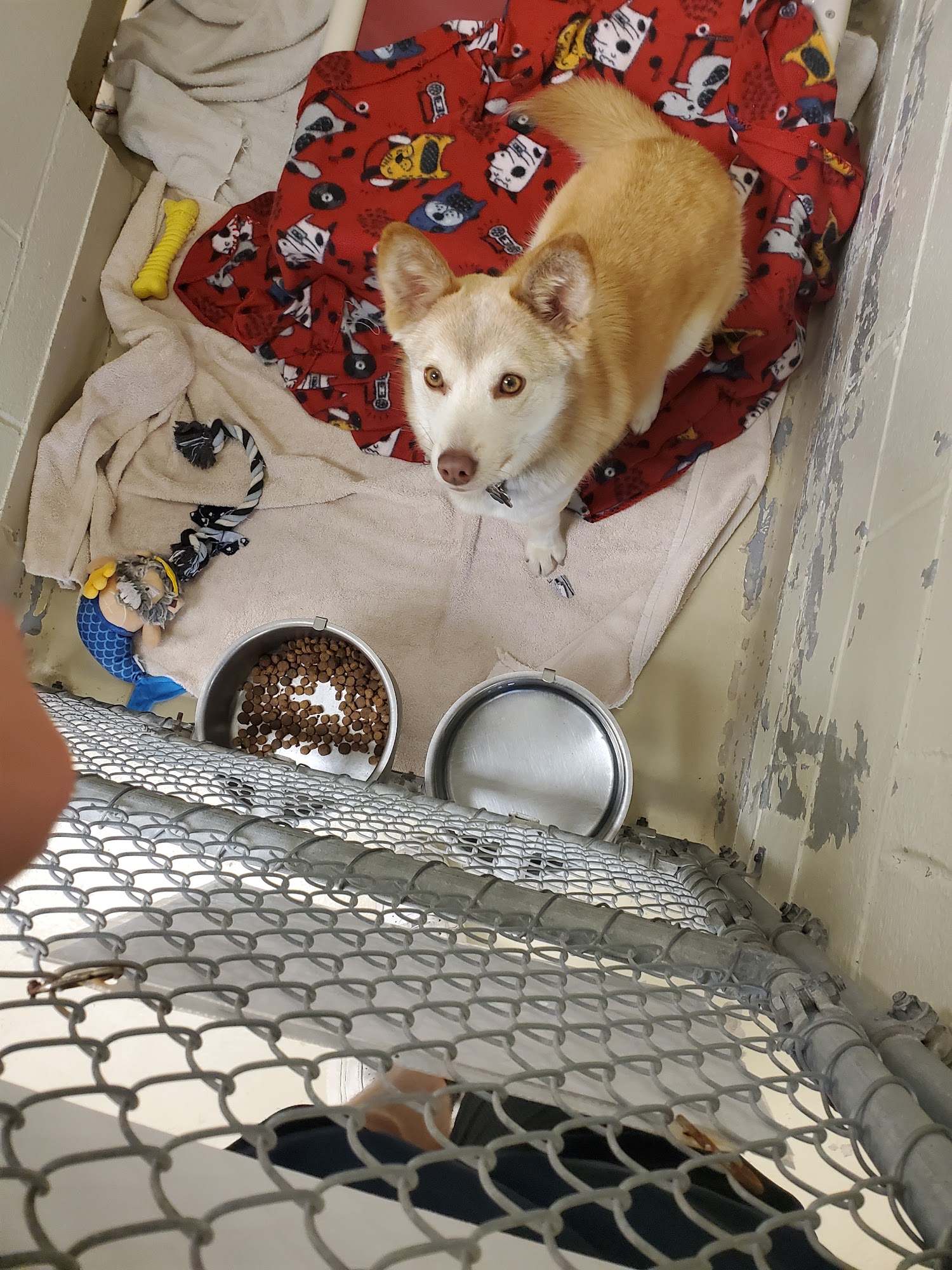 INDYHUMANE - Indianapolis IN - Hours, Directions, Reviews - Loc8NearMe