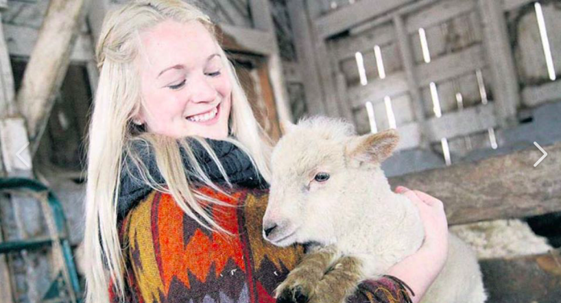 LESTER'S FARM CHALET - St. John's NL - Hours, Directions, Reviews ...