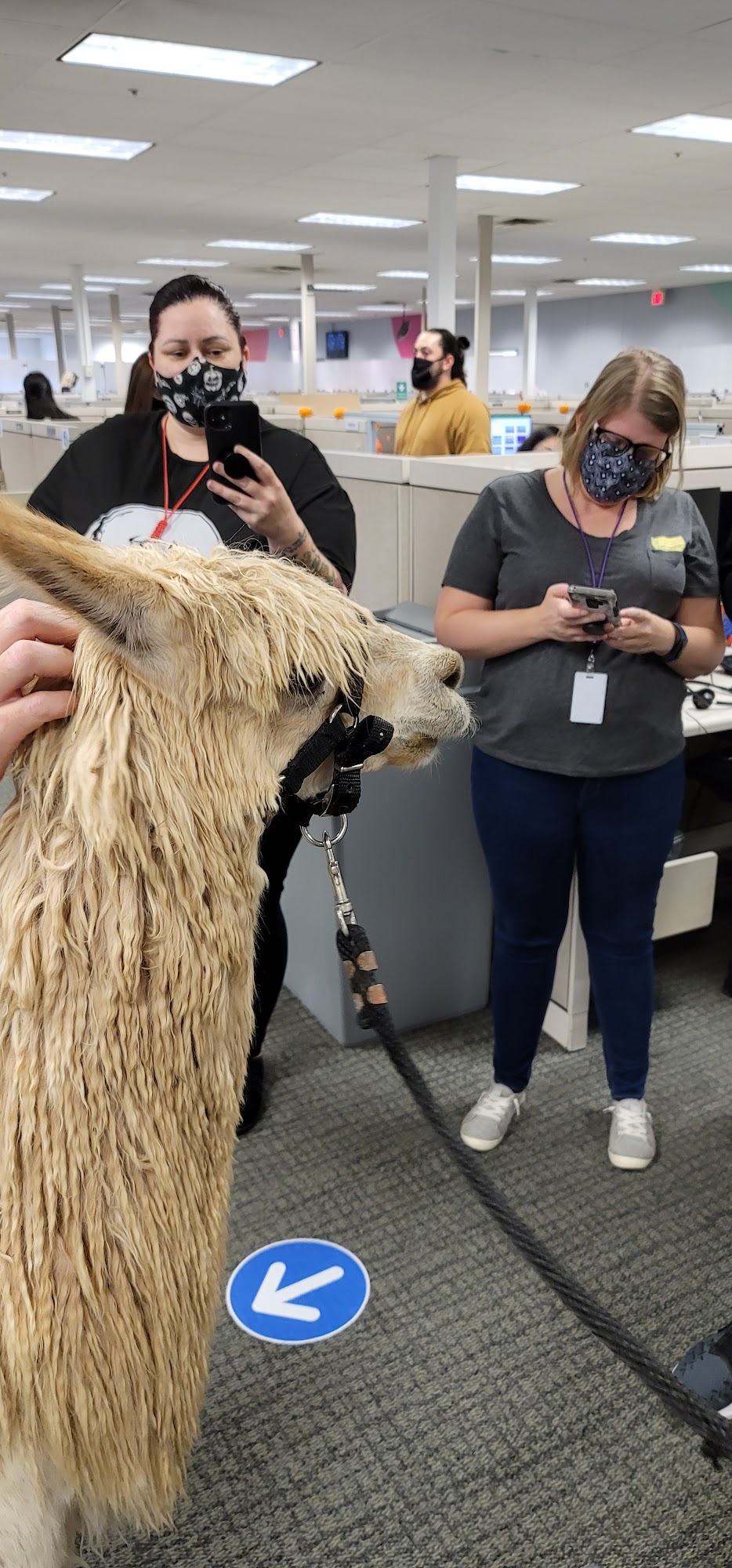 SCOOP INSURANCE - Welland ON - Hours, Directions, Reviews - Loc8NearMe