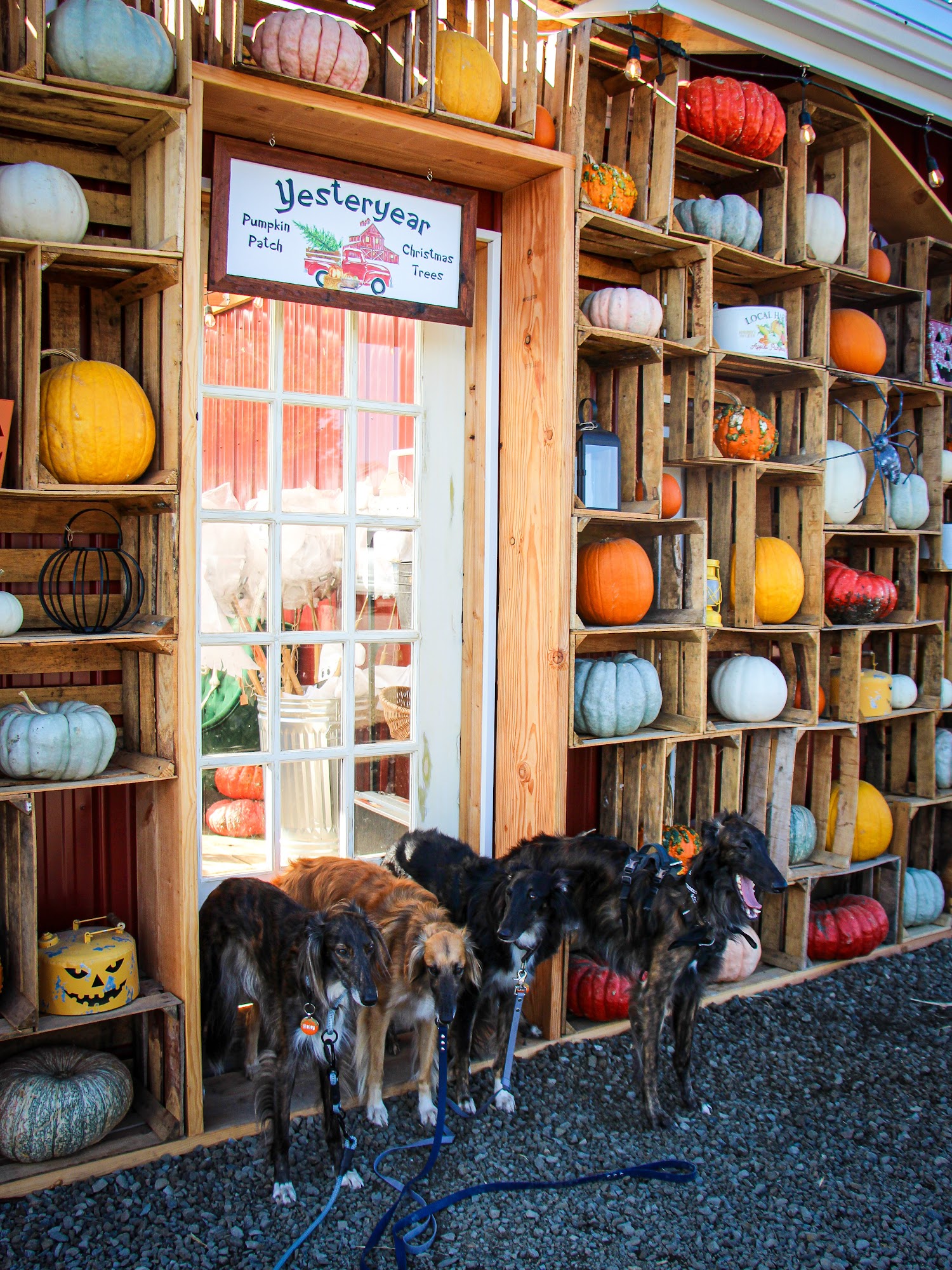 YESTERYEAR FARMS - Wilsonville OR - Hours, Directions, Reviews - Loc8NearMe