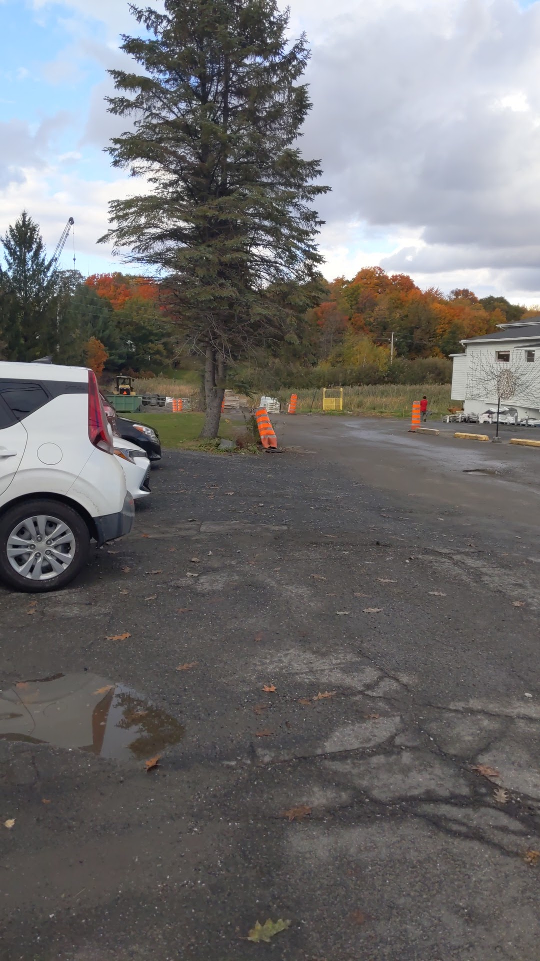 Café Inn, Knowlton - Reviews, Photos - Restaurantji