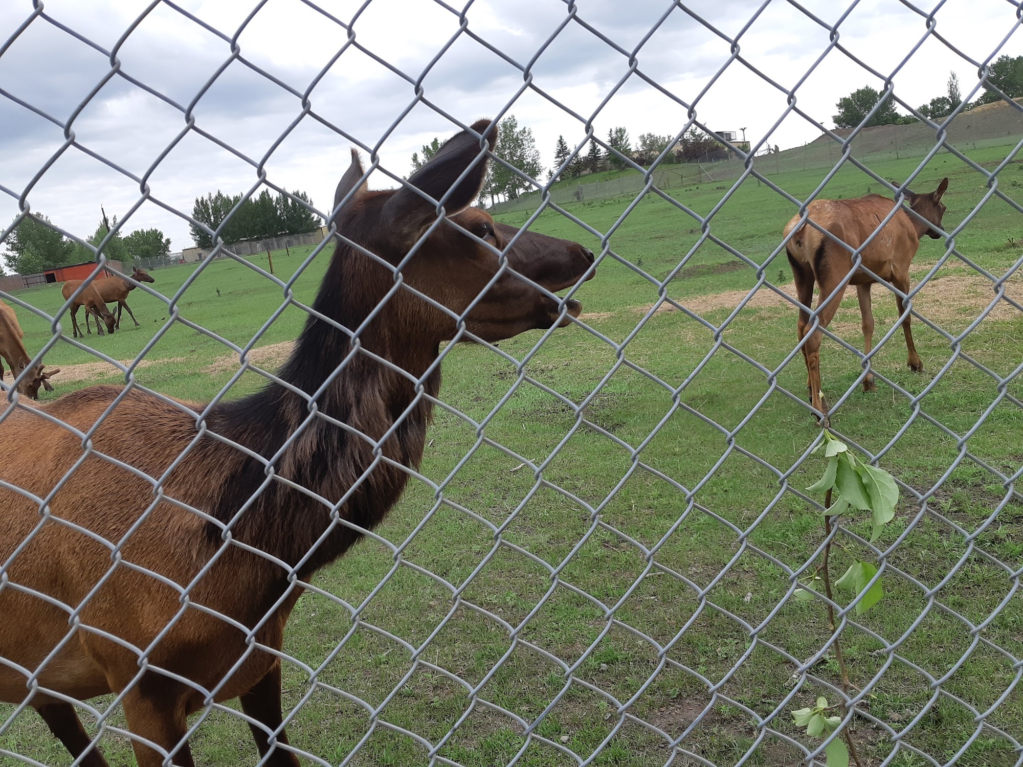 TURVEY CENTRE - Regina SK - Hours, Directions, Reviews - Loc8NearMe