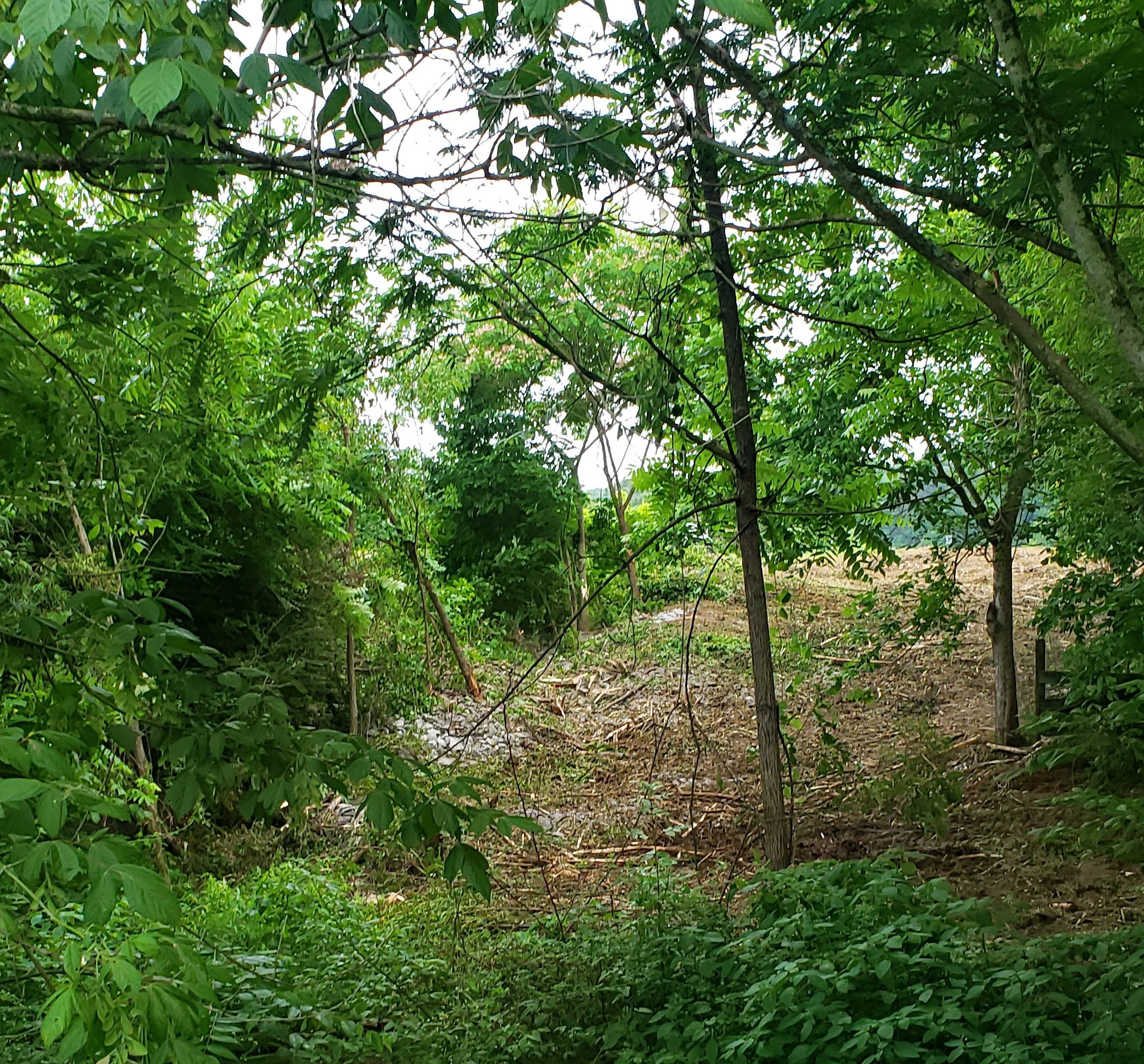 ATHENS UTILITIES BOARD - Athens TN - Hours, Directions, Reviews ...