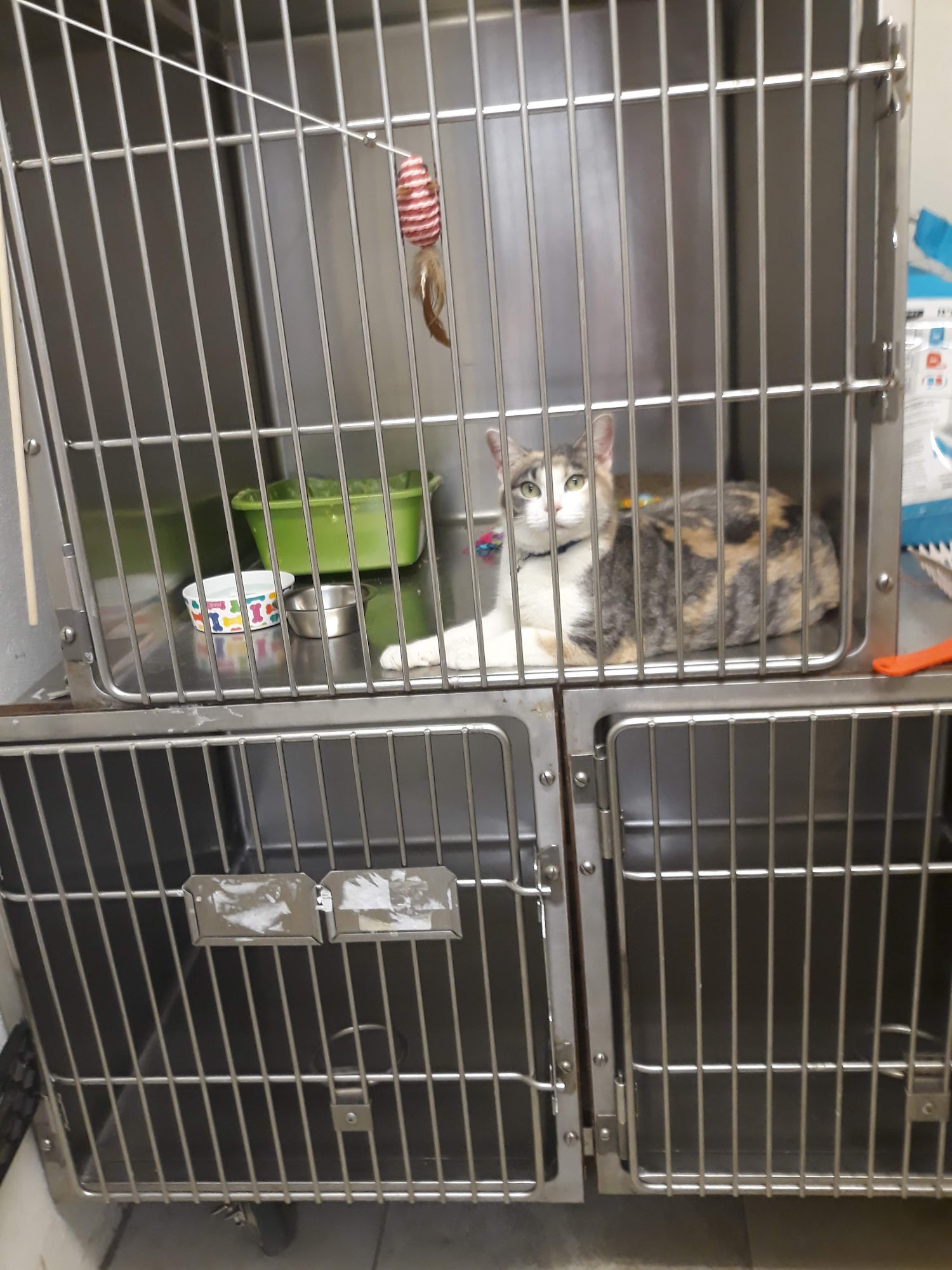 FAIRMONT PET HOSPITAL - Pasadena TX - Hours, Directions, Reviews ...